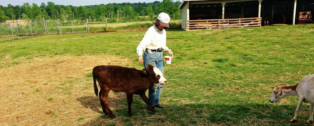 About Beef – springwaterfarmsnc.com