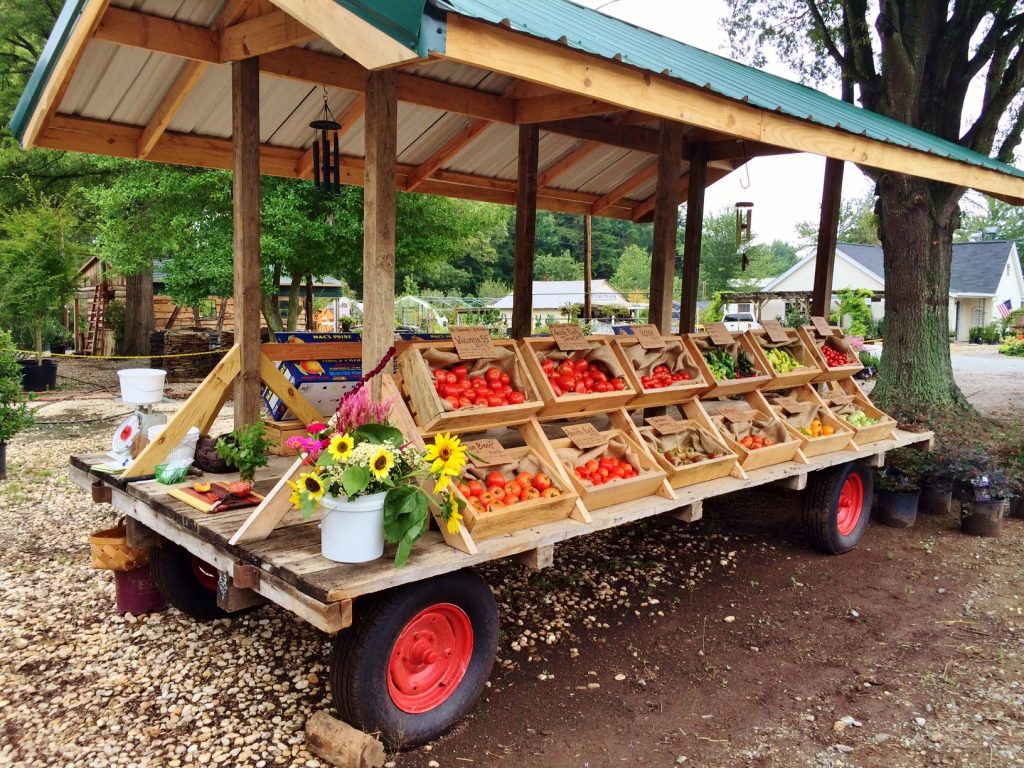 About – springwaterfarmsnc.com